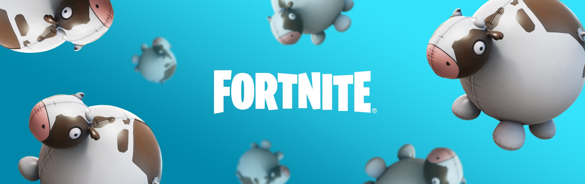 Fortnite Ecosystem v30.10