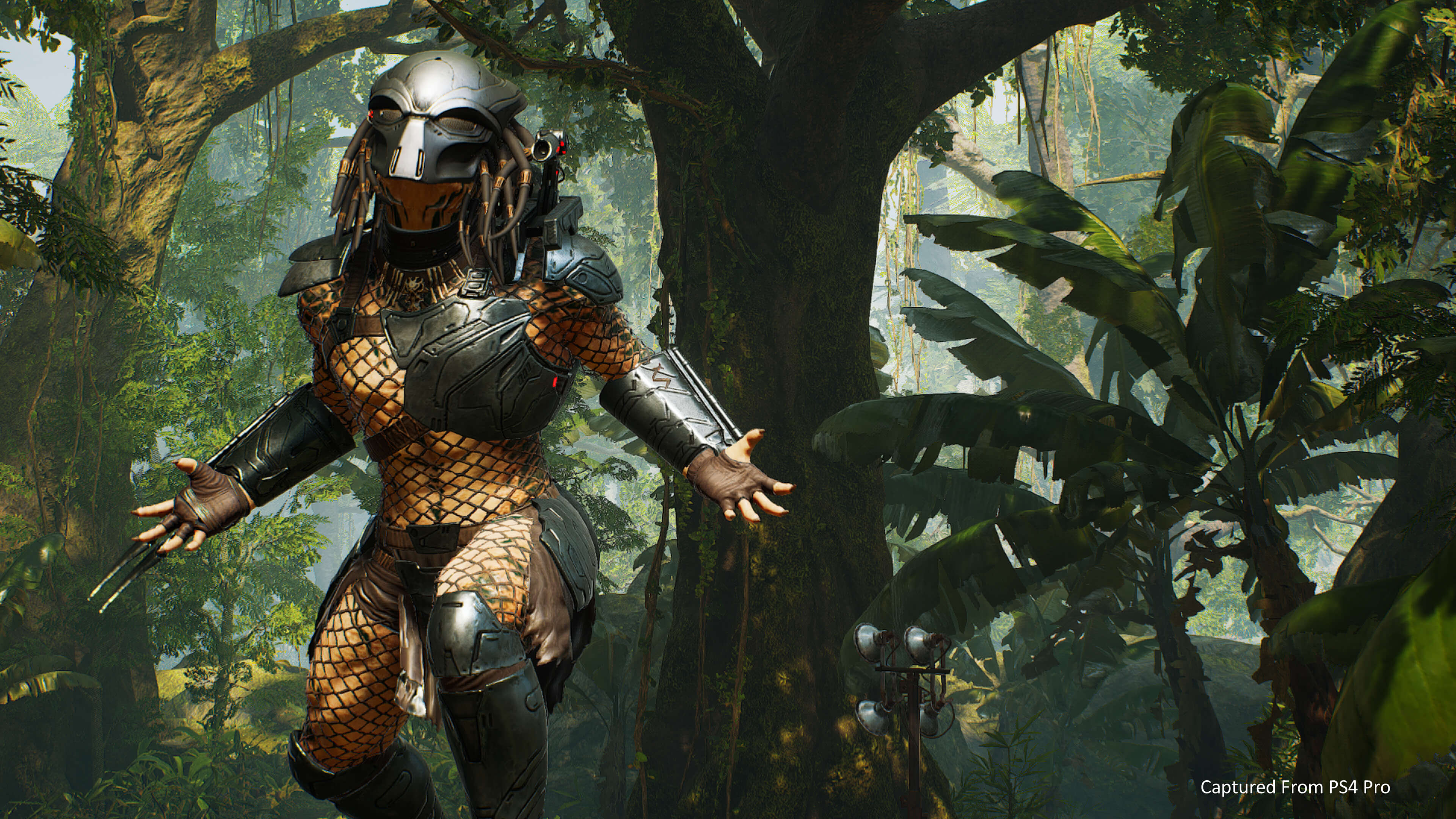 Predator: เล่น Hunting Grounds ฟรี - เคล็ดลับสำหรับสัปดาห์ทดลองเล่น ...