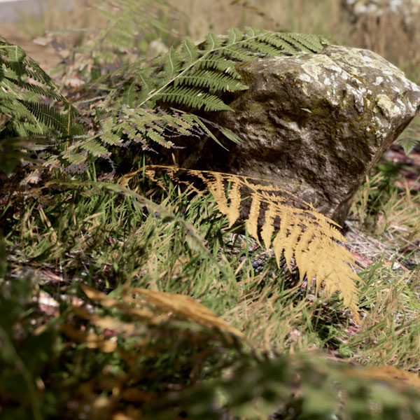 NVIDIA Edge Program - August 2017 - Unreal Engine