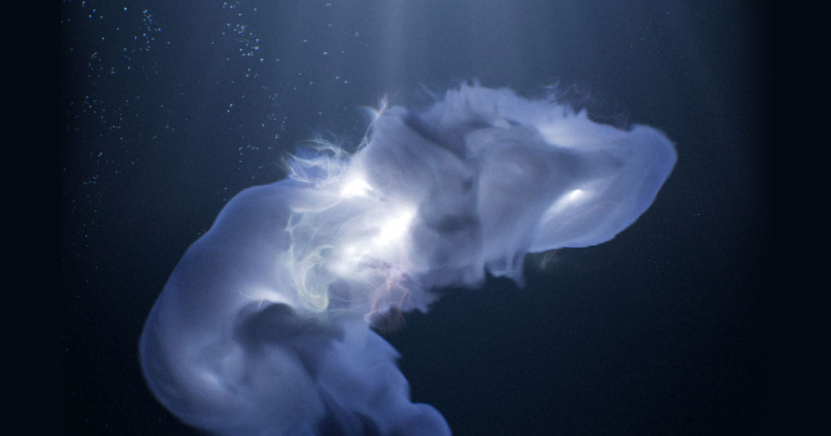 Jobs in Unreal Engine - Technical Artist