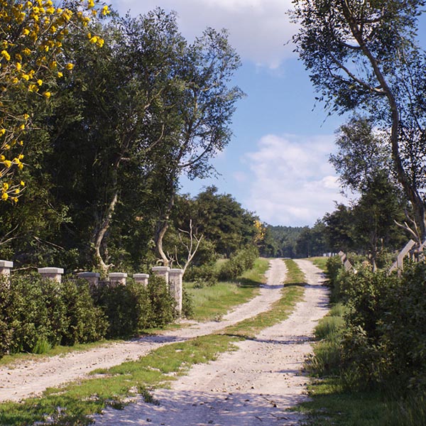 NVIDIA Edge Program - September 2018 - Unreal Engine