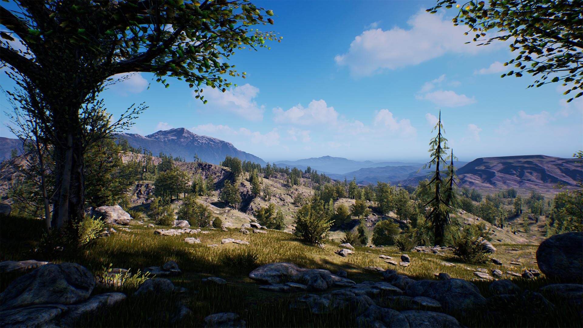 Take 50% off hundreds of Marketplace products during the April Flash ...