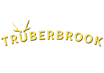 Trüberbrook | Download and Buy Today - Epic Games Store