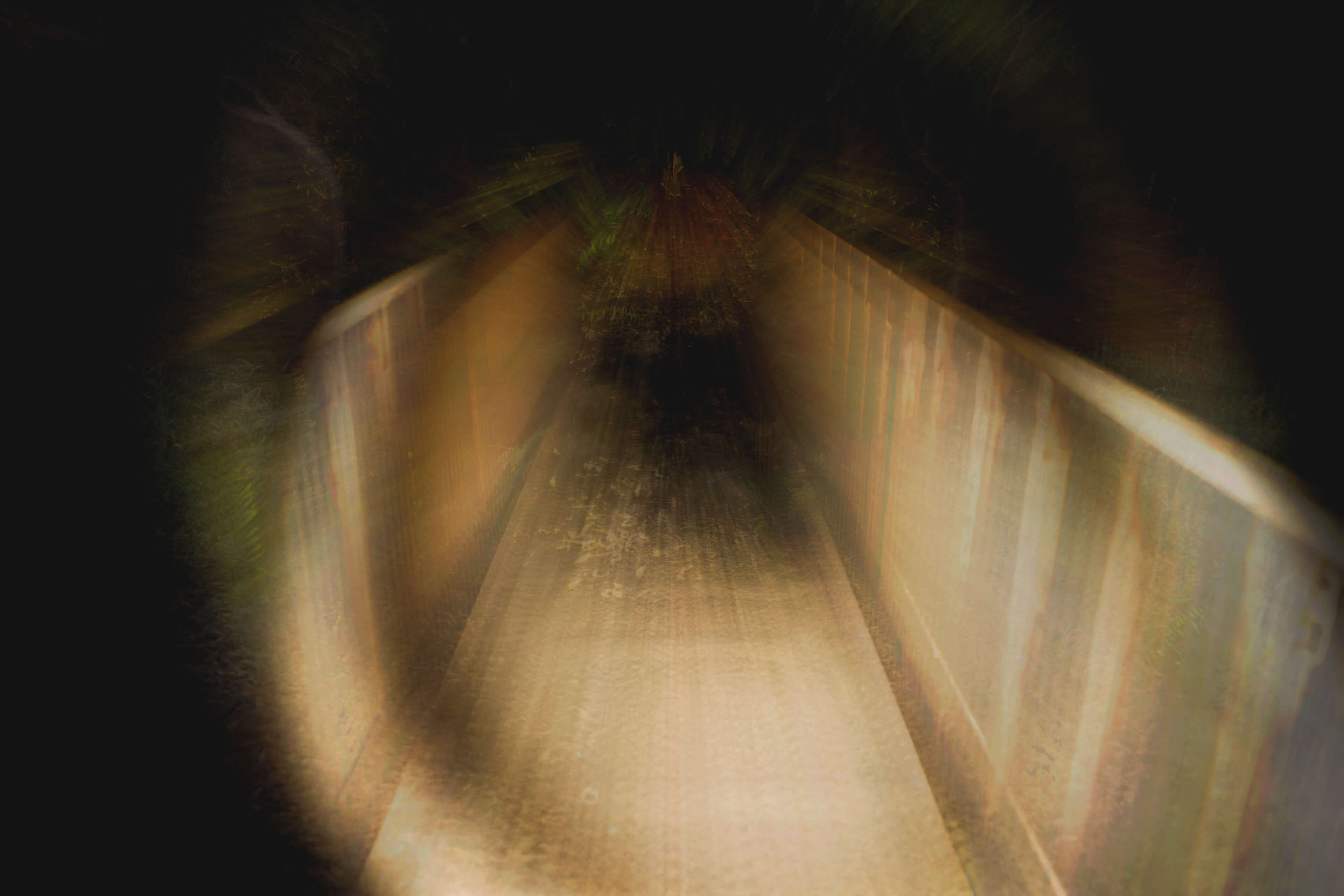 Framing fear in photo mode – Epic Games Store