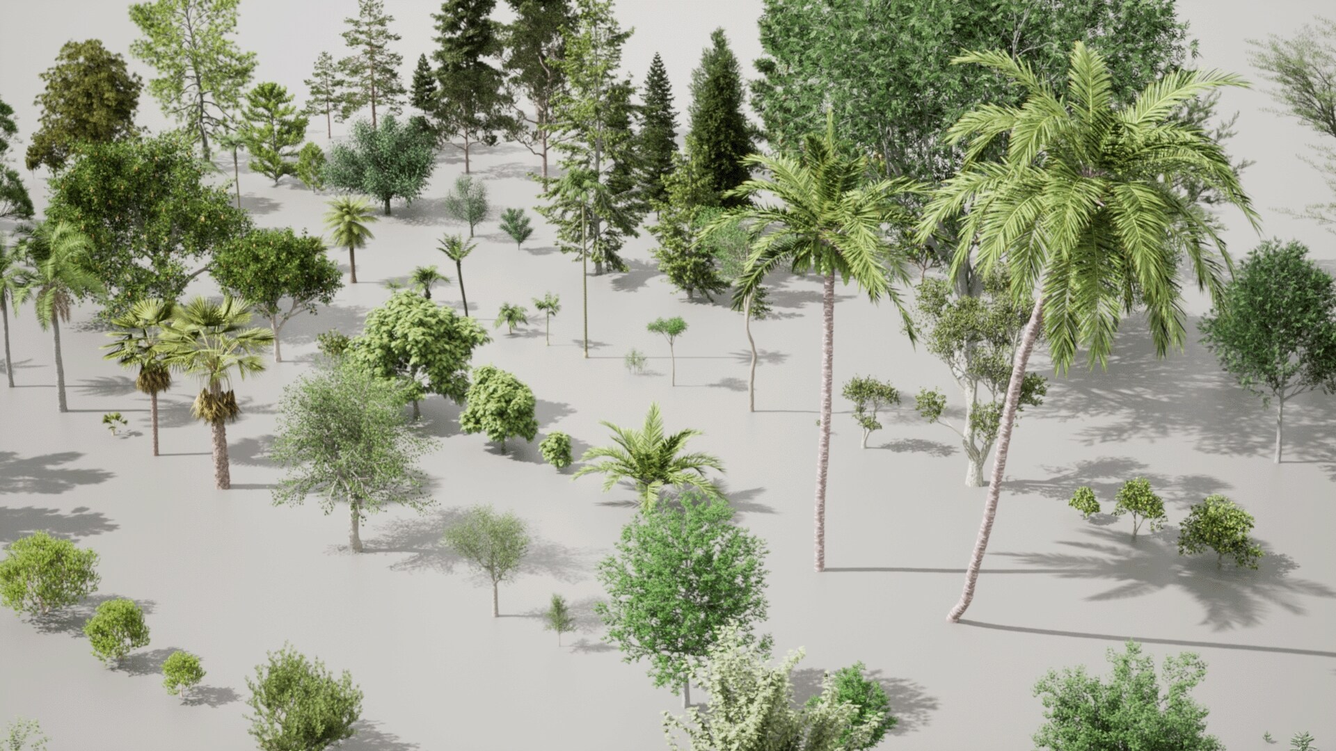 Twinmotion 2025.1来了！ - Twinmotion