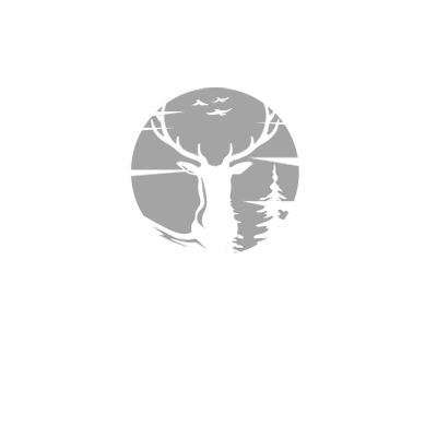 Open Country | Download and Buy Today - Epic Games Store